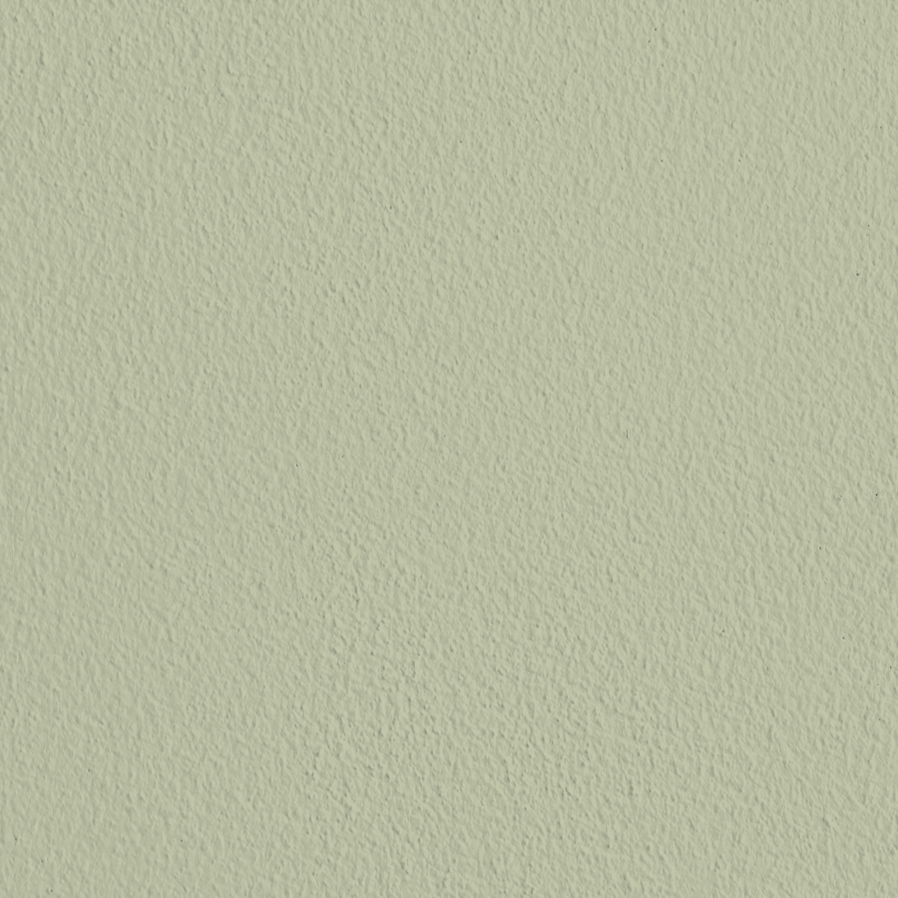 Köp Pinie 55 hos din färghandlare - Caparol